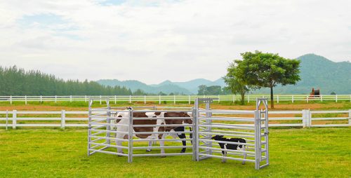 Farm Fences: Advantages and Disadvantages- FENCE DEPOT