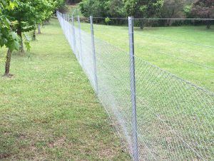 What is a Star Picket? - FENCE DEPOT
