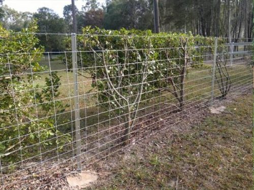 What is a Star Picket? - FENCE DEPOT