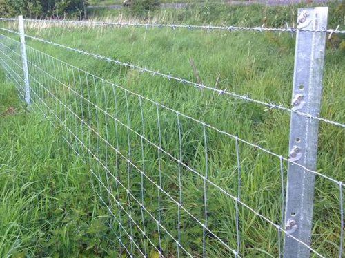 What is a Star Picket? - FENCE DEPOT