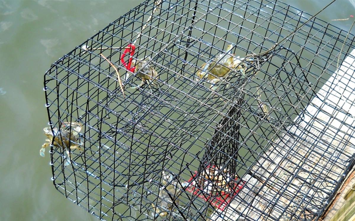 PVC Coated Welded Wire Mesh - FENCE DEPOT